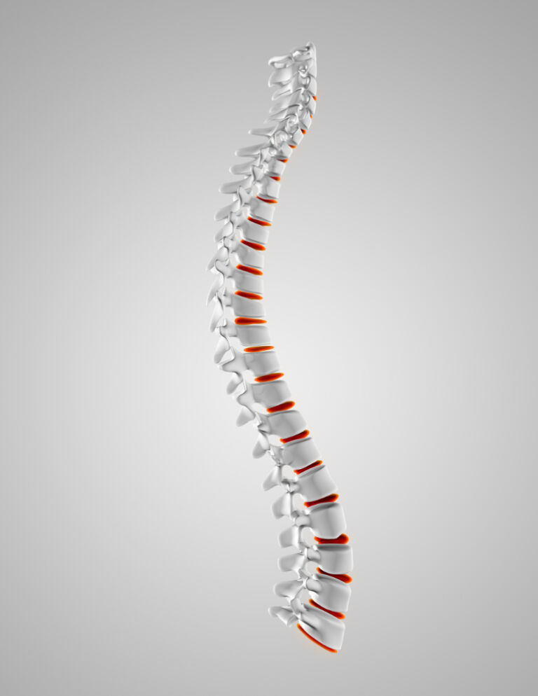 4 Reasons Why Your Spinal Curves Are Important